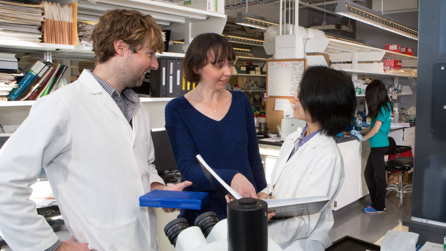 Research | Princeton University
