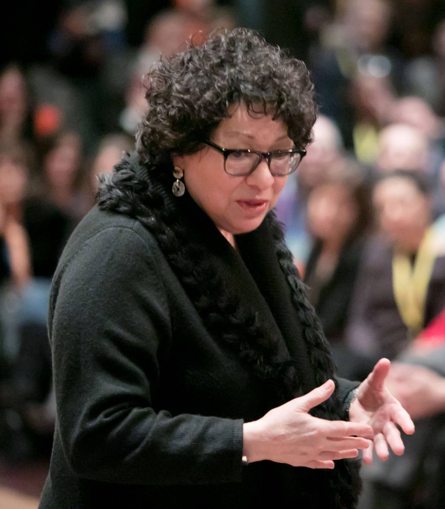 Four faculty, alumna Sotomayor elected members of American Academy of ...