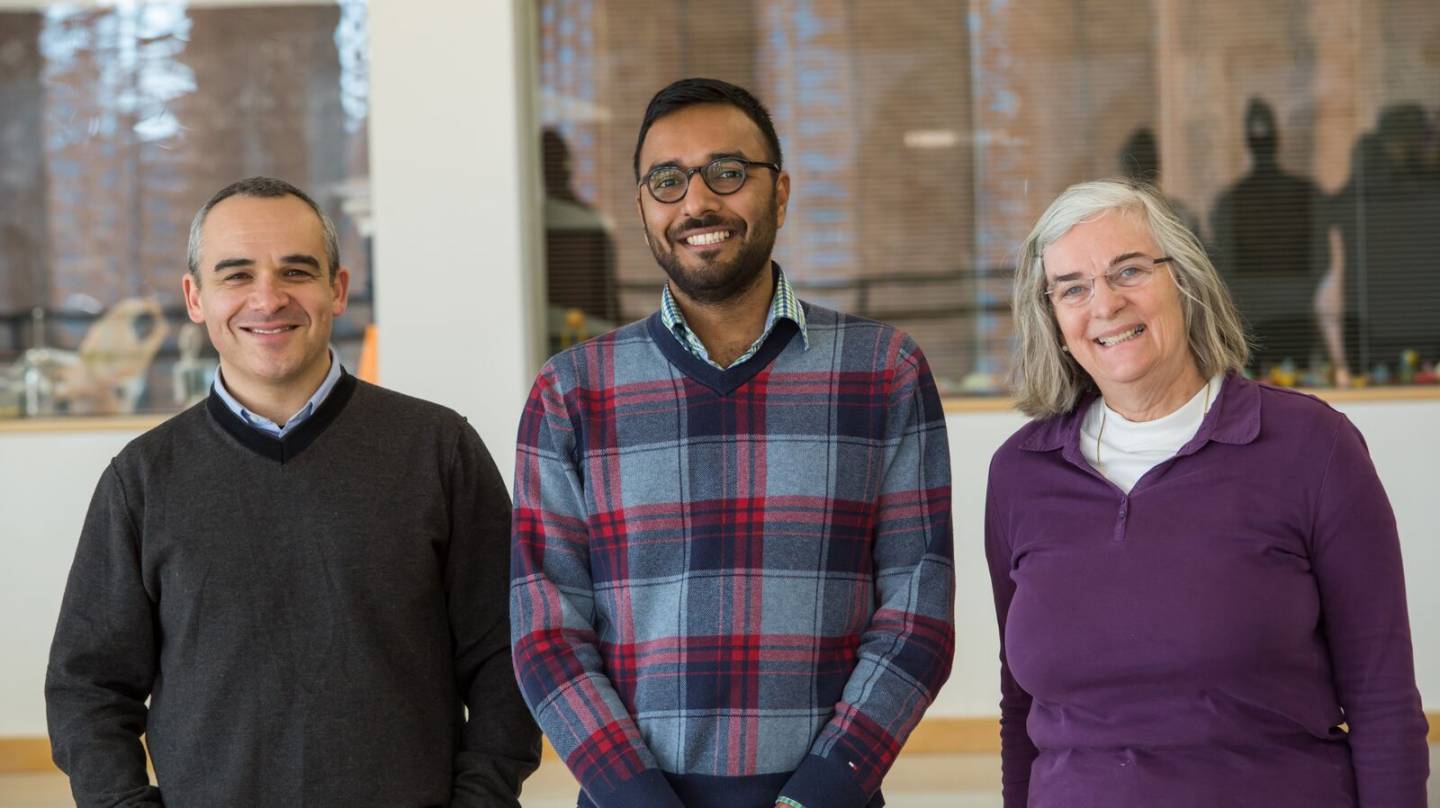 Princeton graduate alumnus Goyal named Schmidt Science Fellow for close ...