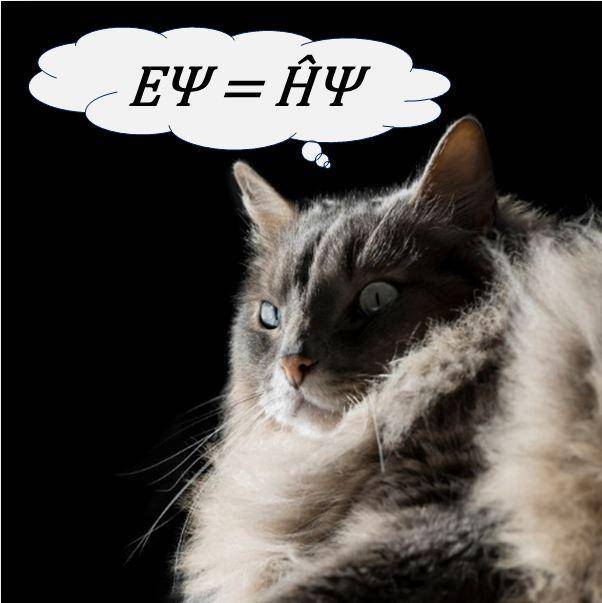 Hamilton Colloquium Series: "Why I don't believe that Quantum Mechanics ...