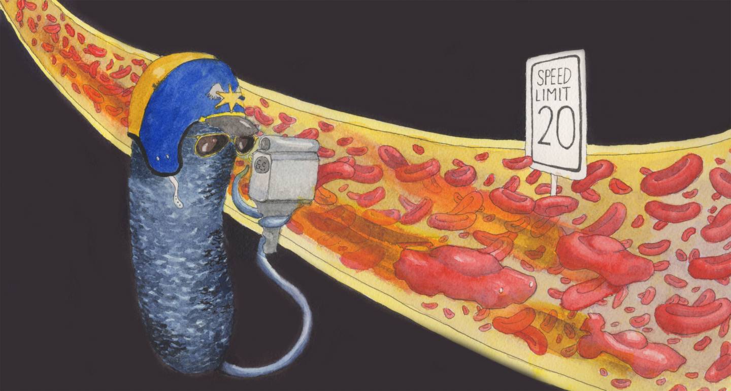 Princeton scientists bioengineer a cellular speedometer