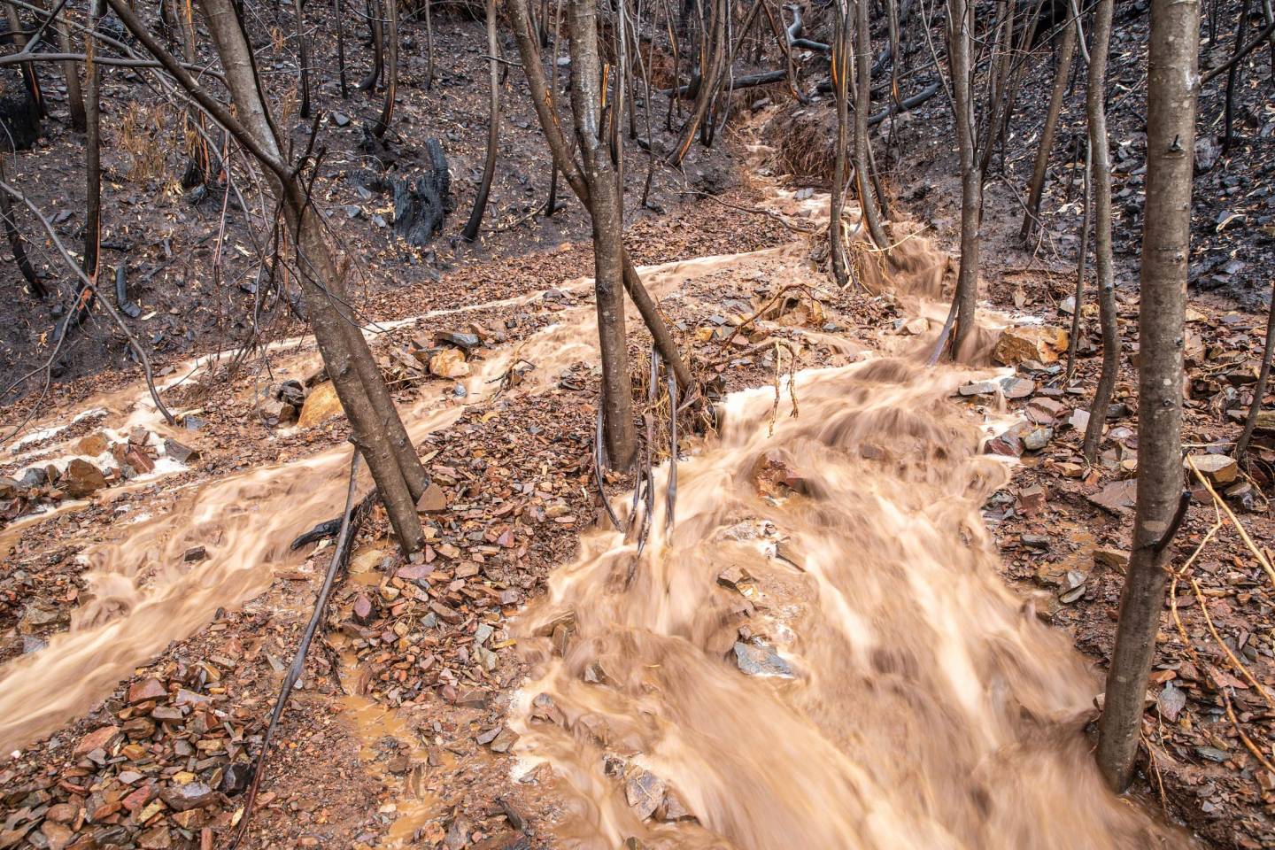 Double-whammy weather: Study identifies increased frequency of ...