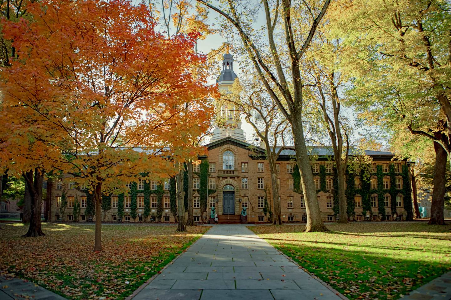 princeton fall
