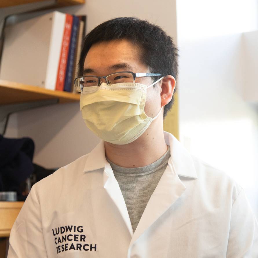 New cancer therapy from Yibin Kang's lab holds potential to switch off ...