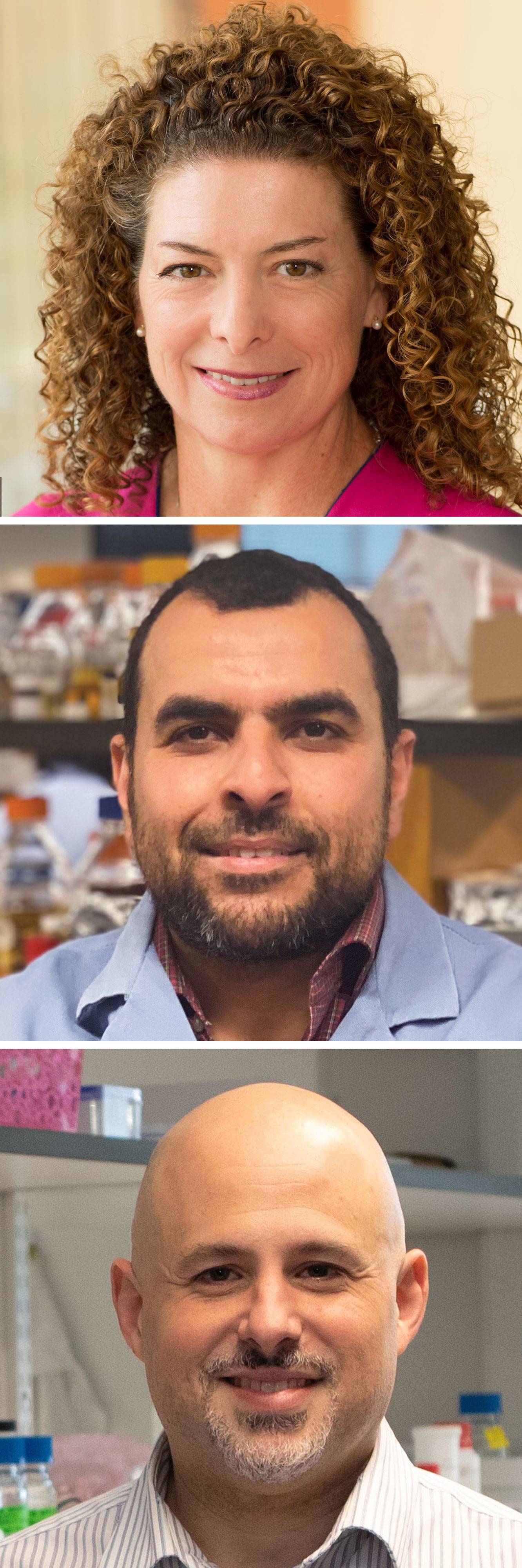 Three Princeton researchers win NIH high-risk, high-reward fellowships