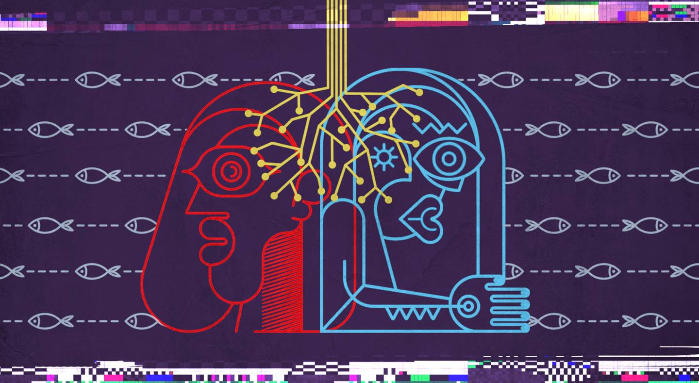 Political polarization and its echo chambers: Surprising new, cross ...