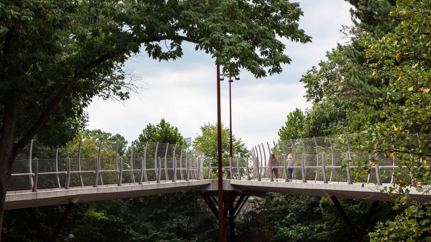 Princeton scientists win major physics prizes