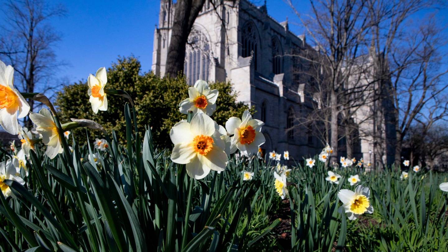 Six Princeton professors have been elected to American Academy of Arts ...