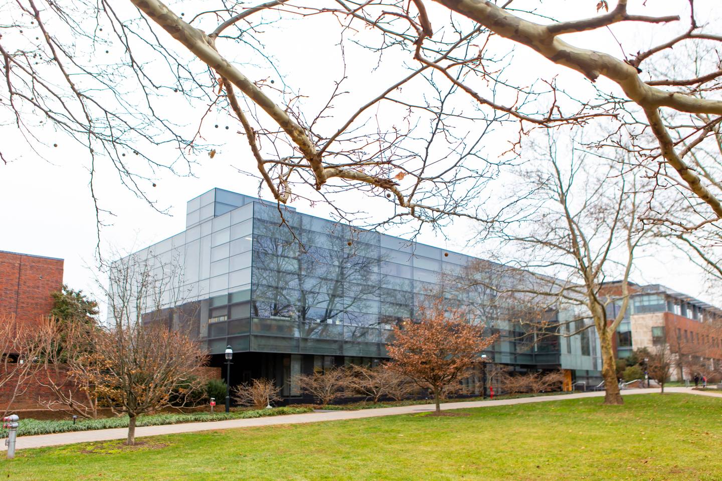 Studying at Princeton | Princeton University