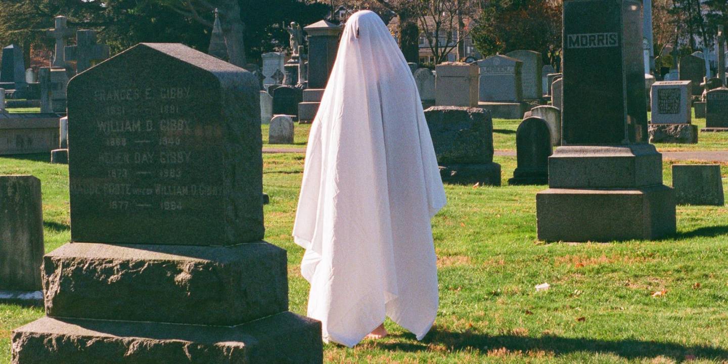 Something Dead That Doesn't Know It's Dead, a senior exhibition by ...