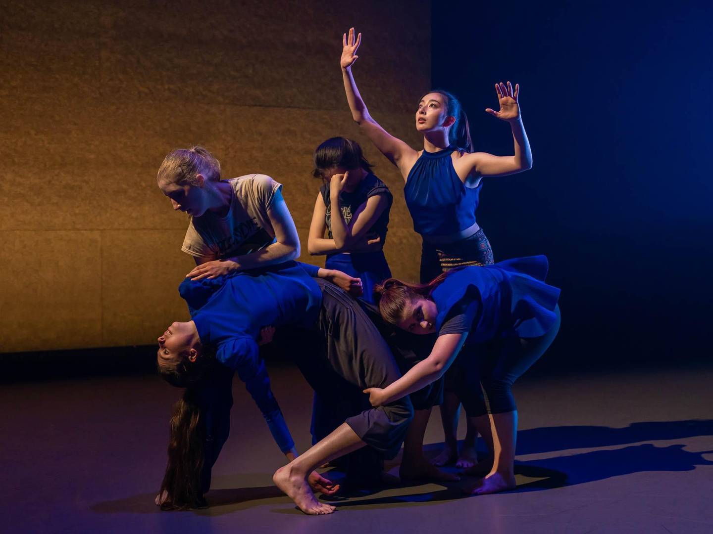 Performance Opportunity Workshops: Explore Next Year’s Senior Dance ...