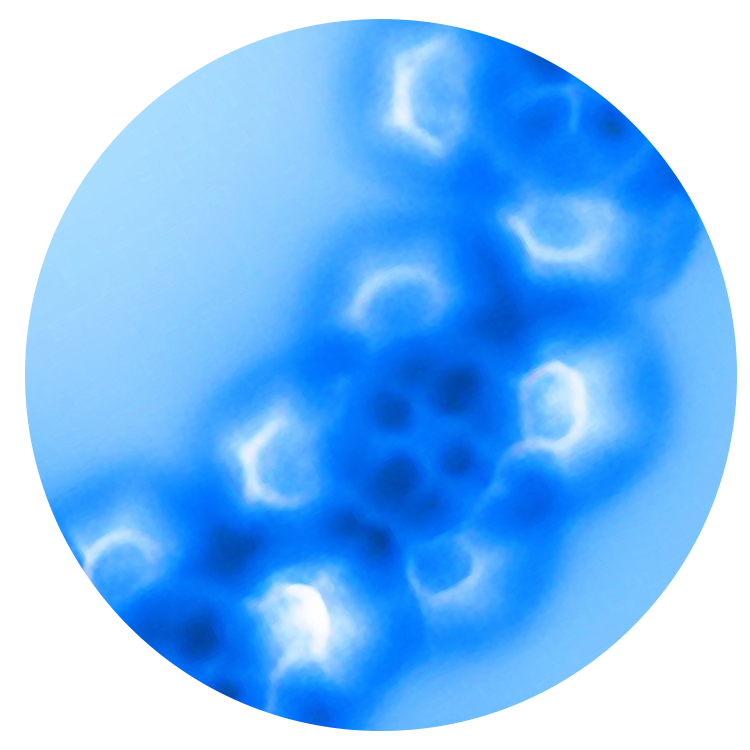 Princeton's world-class microscopes are making a giant impact in the ...