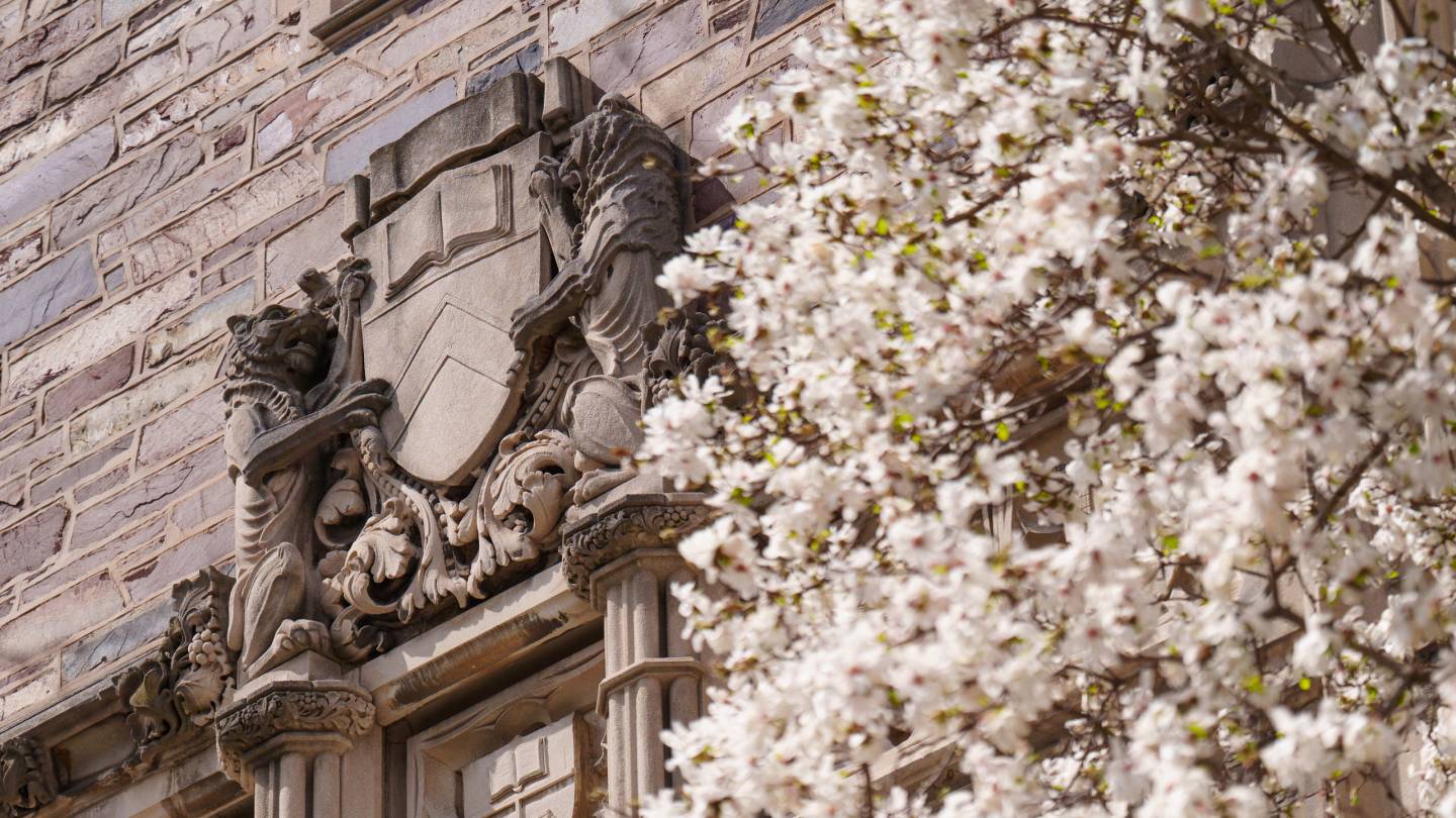 Six Princeton faculty members and arts fellows, 9 alumni receive ...