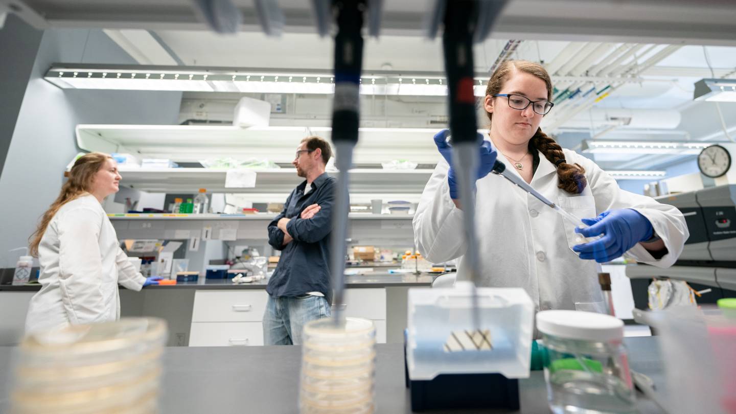 scientist dematerialize