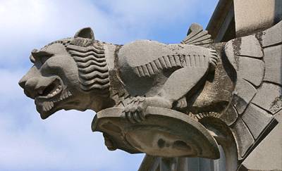 Tigers prowl around the Princeton campus