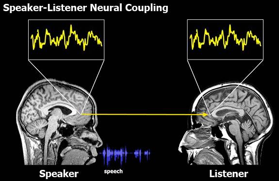 Hasson brings real life into the lab to examine cognitive processing