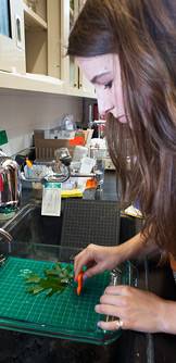 High school students pursue hands-on research through summer program