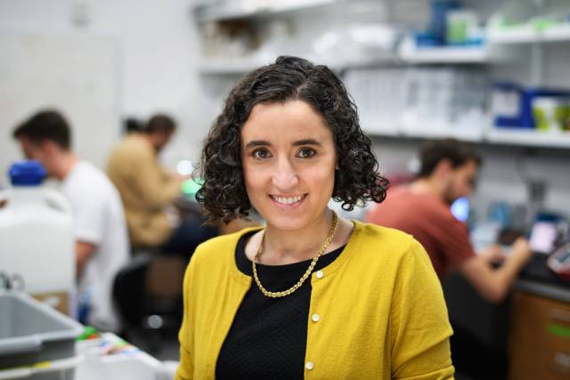 Witten receives Freedman Prize for exceptional basic research