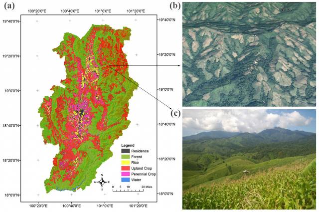 Southeast Asian forest loss much greater than expected, with negative ...