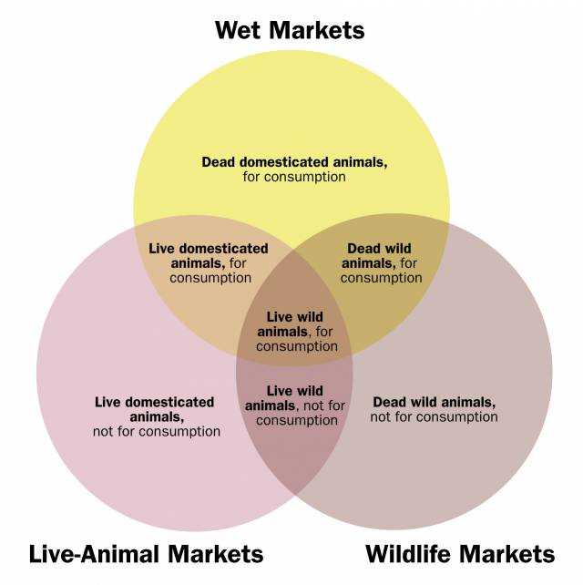 A better understanding of 'wet markets' is key to safeguarding human ...