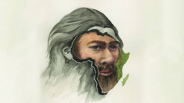 New study identifies Neanderthal ancestry in African populations and ...