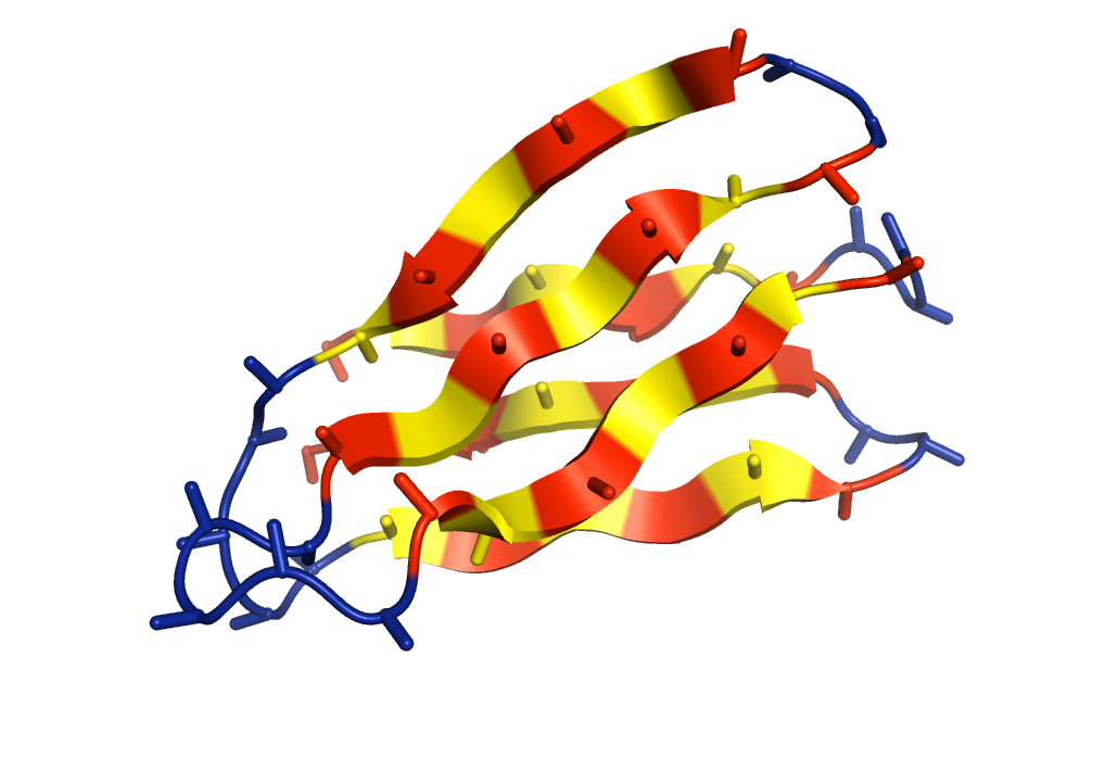 Hecht Lab - Princeton University
